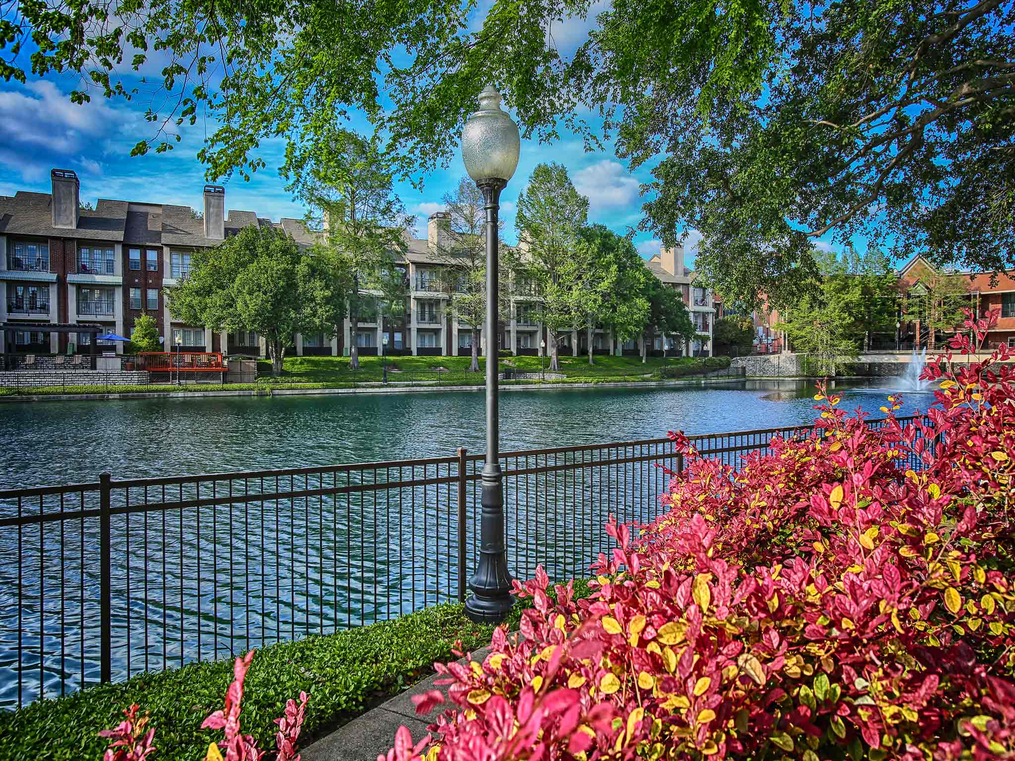 Gallery - Tonti Lakeside